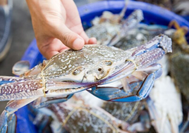 Hilton Head Island: Crabbing Expedition Boat Tour - What We Like & What to Keep in Mind