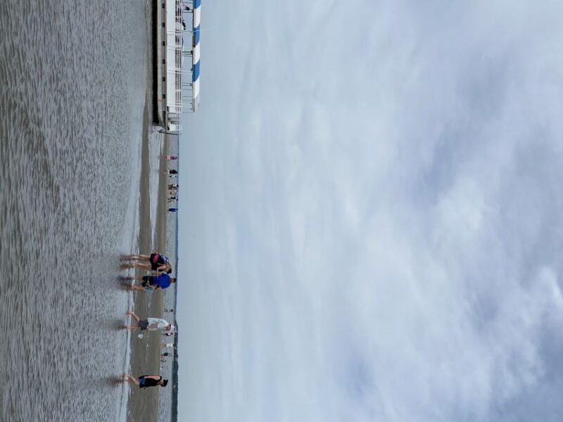 Hilton Head Island: Disappearing Island and Dolphin Tour - Authentic Reviews and What They Reveal