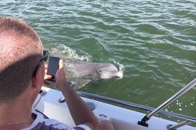 Hilton Head Island Dolphin Boat Cruise - Who Will Love This Tour?