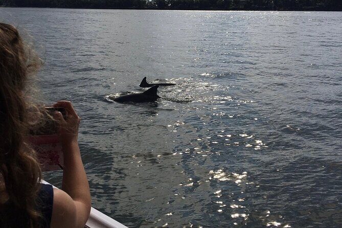 Hilton Head Island Dolphin Boat Cruise - FAQ Section