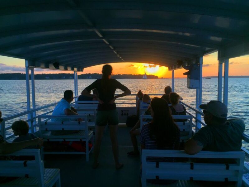 Hilton Head Island: Dolphin Tour at Sunset & Fireworks Show - A close-up look at what you can expect