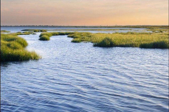 Hilton Head Island Dolphin Watching Nature Cruise - A Detailed Look at the Hilton Head Dolphin Watching Cruise