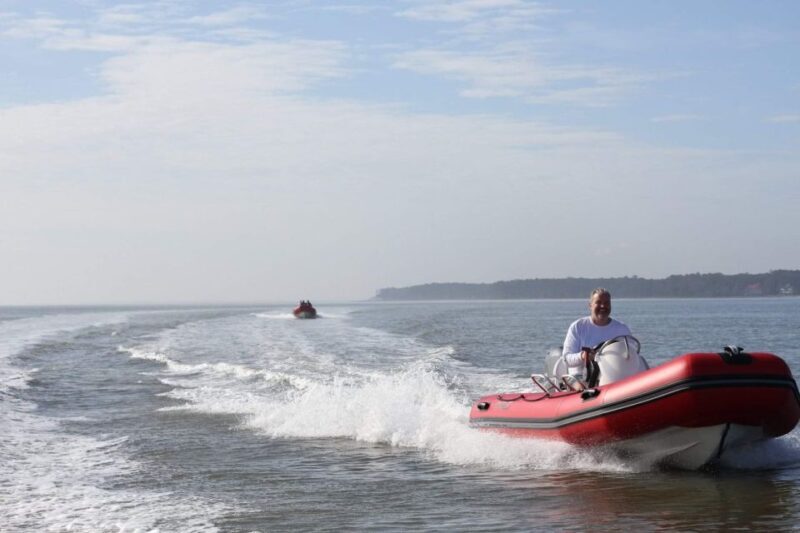 Hilton Head Island: Mini Boat Dolphin Tour - Summary: Is It Worth It?