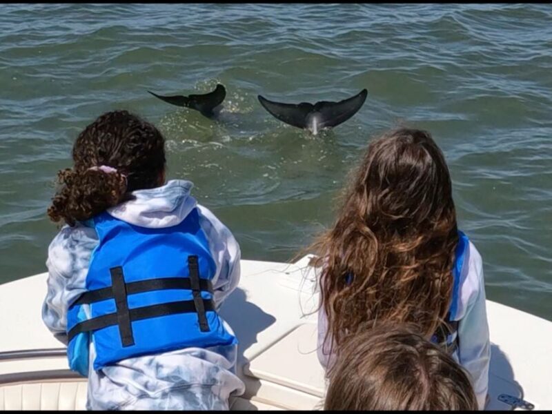 Hilton Head Island: Private Dolphin and Nature Tour - Final Thoughts: Is This Tour Right for You?