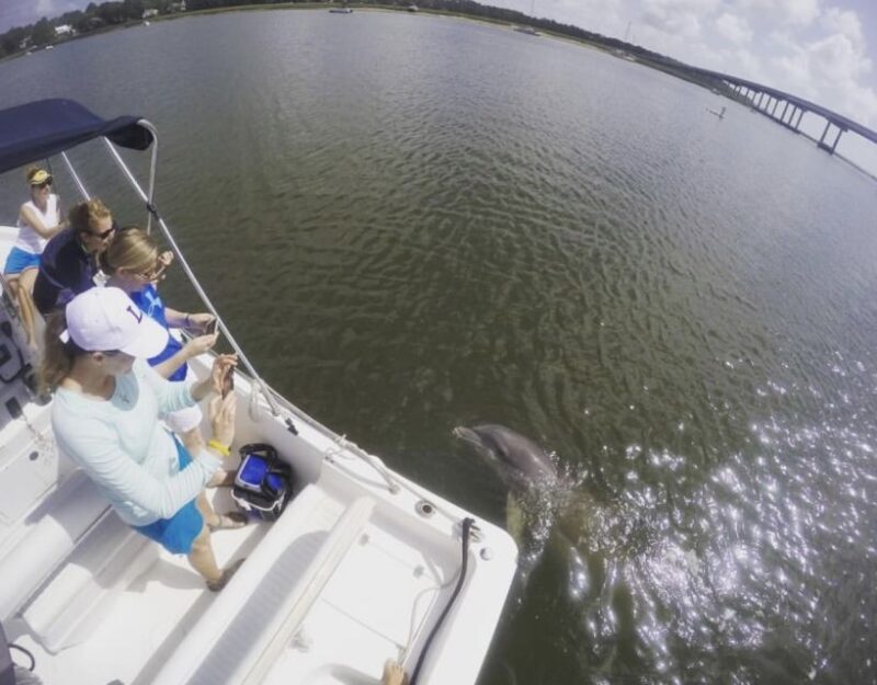 Hilton Head Island: Private Dolphin Watching Boat Tour - Authentic Reviews That Speak Volumes