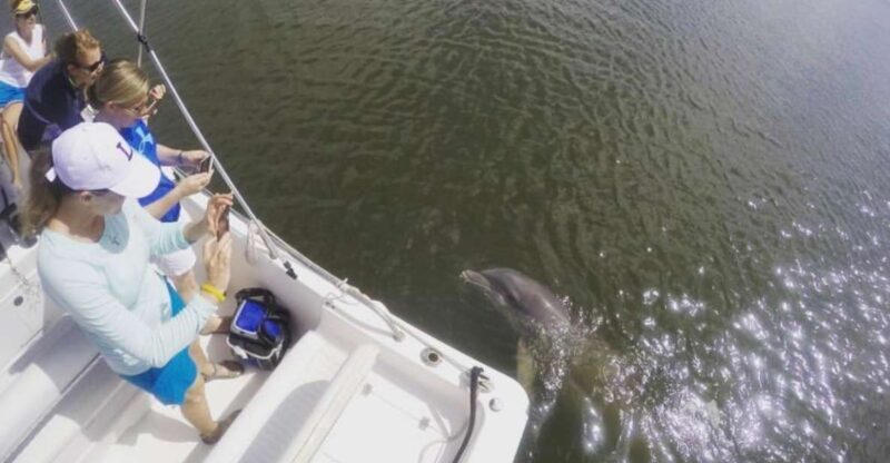 Hilton Head Island: Private Dolphin Watching Boat Tour - The Sum Up
