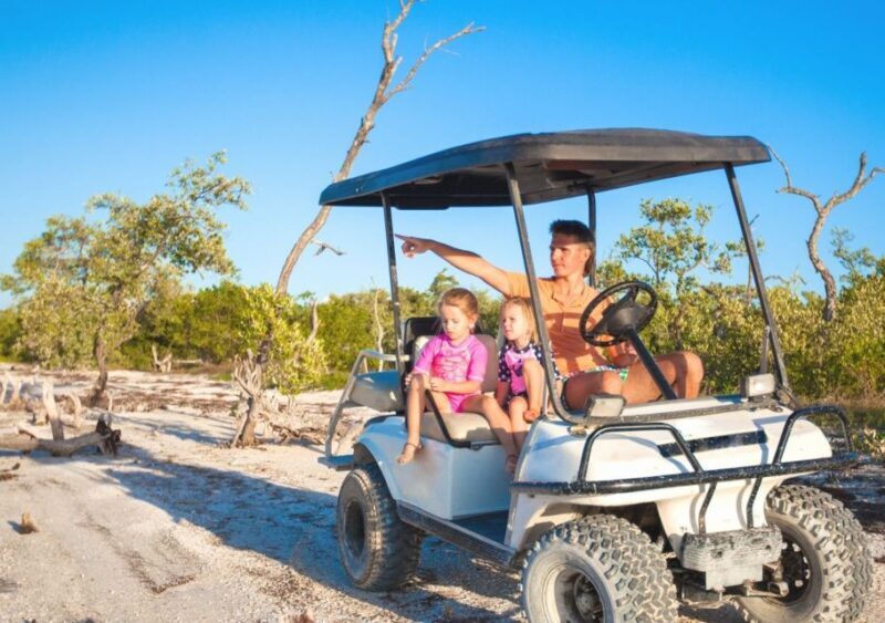 Hilton Head Island: Round-Trip Daufuskie Island Ferry - Introduction: A Quick Look at a Scenic Lowcountry Escape