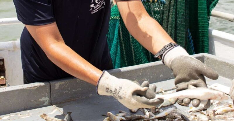 Hilton Head Island: Shrimp Trawling Boat Tour - Introduction: Why This Tour Stands Out