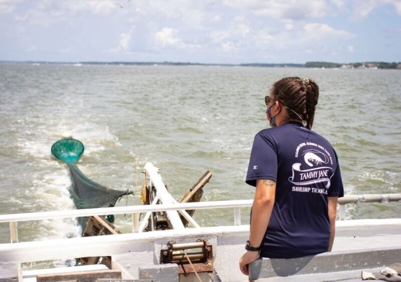 Hilton Head Island: Shrimp Trawling Boat Tour - The Experience in Detail: Itinerary and Highlights