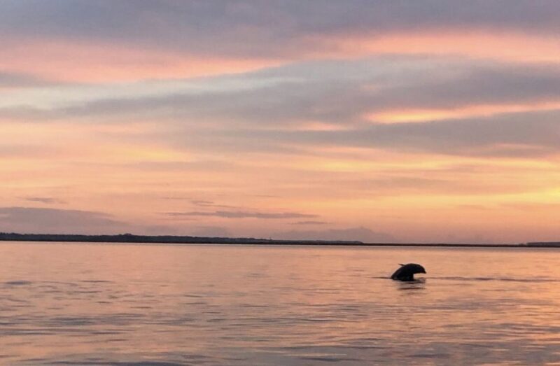 Hilton Head Island: Sunset Creek Cat Boat Tour - An In-Depth Look at the Sunset Creek Cat Boat Tour