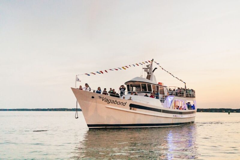 Hilton Head Island: Sunset Dolphin Cruise - An Overview of the Sunset Dolphin Cruise Experience