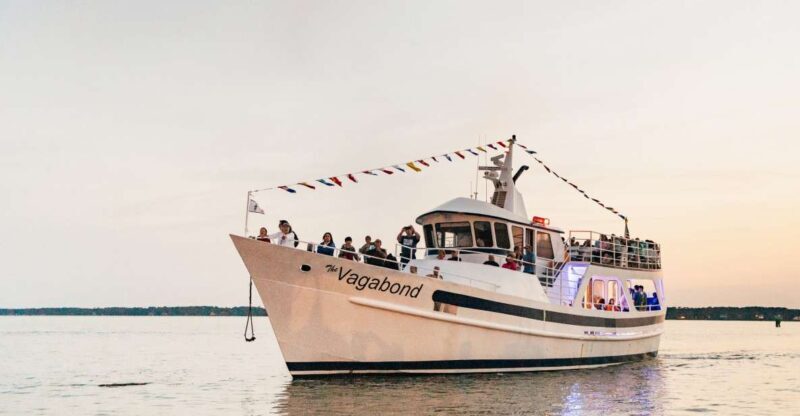 Hilton Head Island: Sunset Dolphin Cruise - FAQ