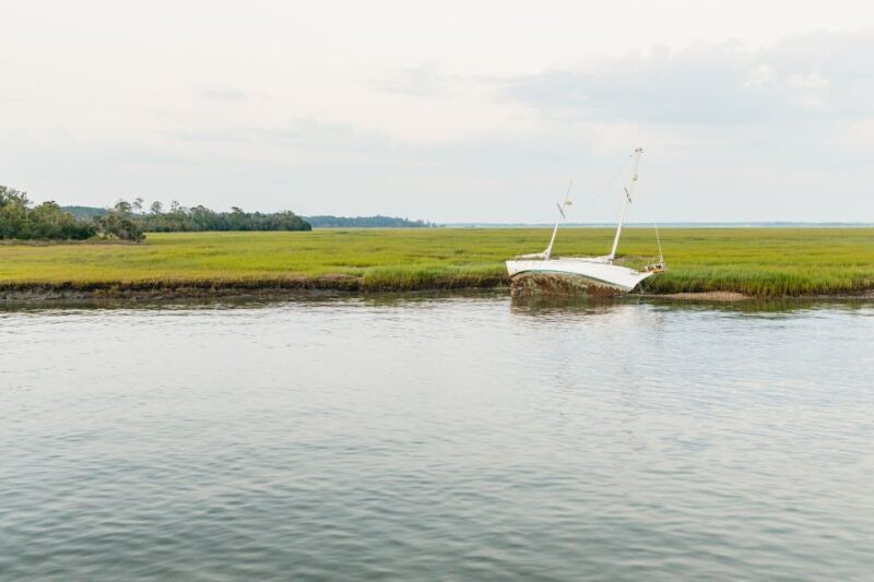 Hilton Head Island: Sunset Dolphin Cruise - In Summary