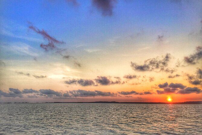 Hilton Head Island Sunset Dolphin Tour - The Bottom Line