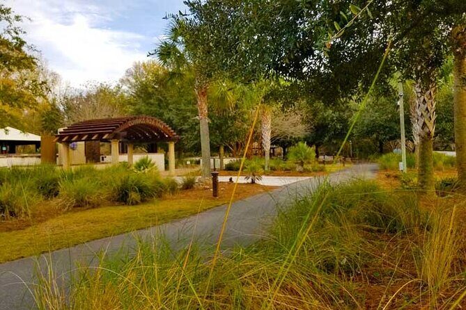 Hilton Head Segway Tropical Pathway Ride (90 minutes) - What to Expect from the Hilton Head Segway Tropical Pathway Ride