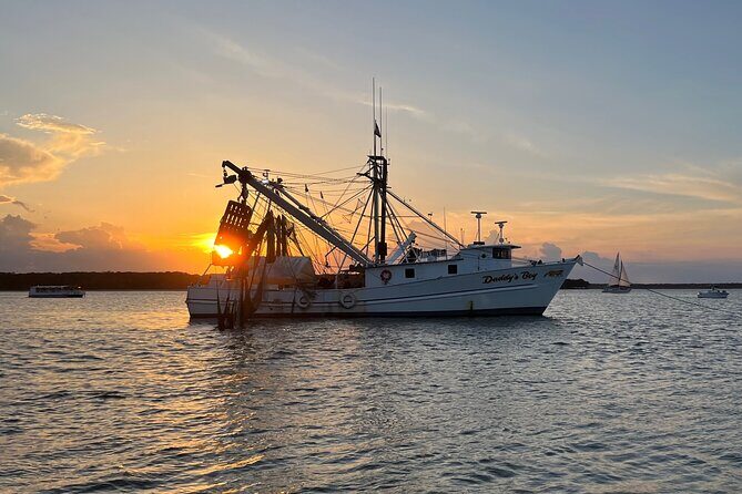 Hilton Head Shrimp Trawling Boat Cruise - Final Thoughts