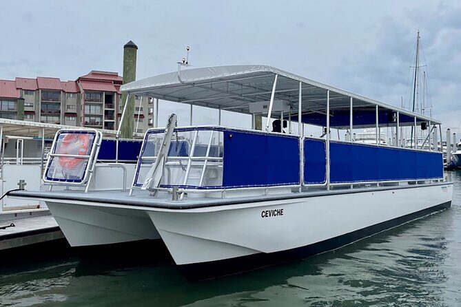 Hilton Head Sunrise Dolphin Tour - An Honest Look at Hilton Head’s Early Morning Wildlife Experience
