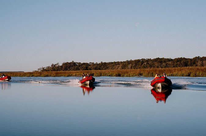Hilton Head Sunset Dolphin and Sightseeing Tour via Mini Boat - What Could Be Better?