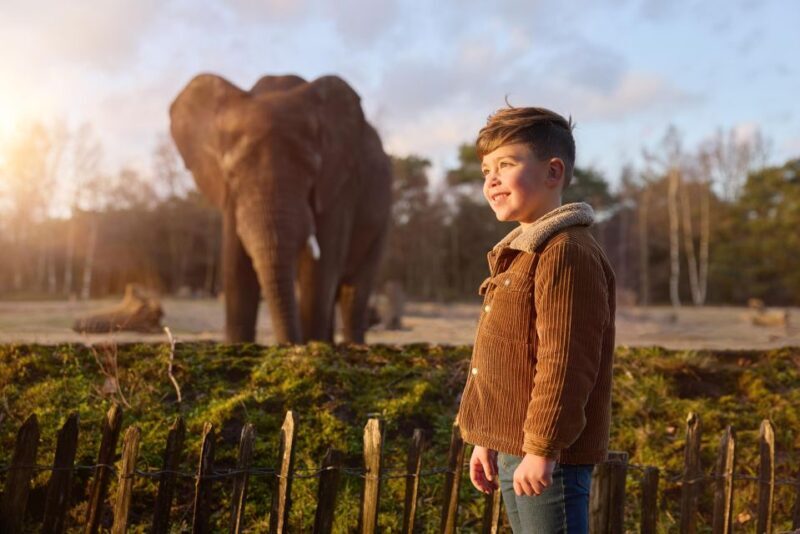 Hilvarenbeek: Safaripark Beekse Bergen Entry Ticket - Exploring Safaripark Beekse Bergen: An Authentic Dutch Wildlife Experience