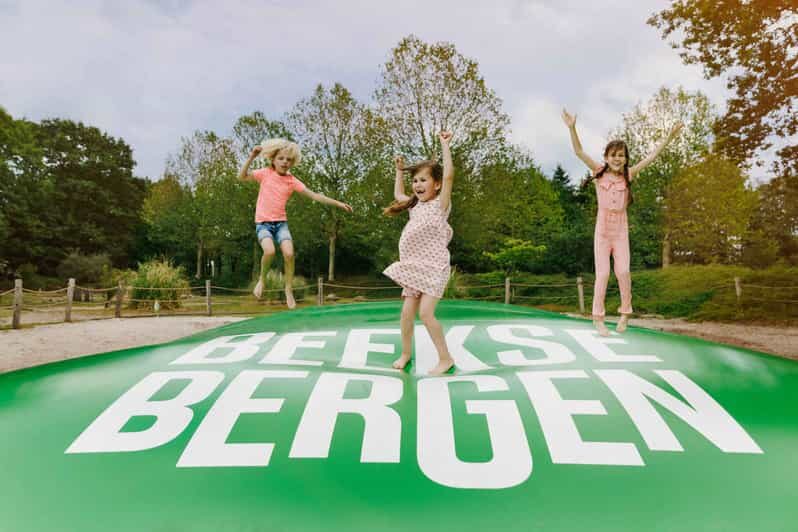 Hilvarenbeek: Speelland Beekse Bergen Entrance Ticket - The Sum Up
