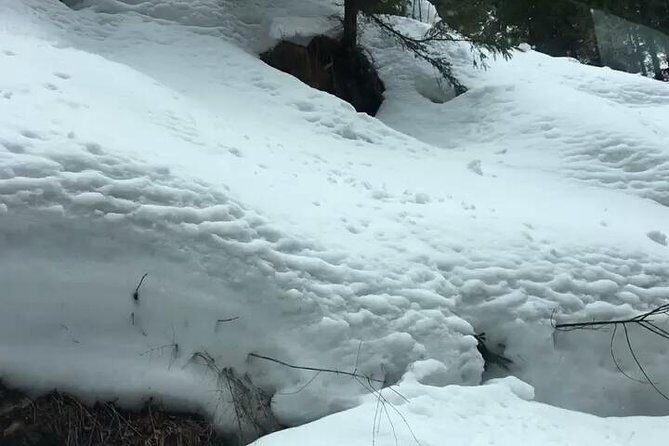 Himachal Tour Package - The Sum Up: Is This the Tour for You?