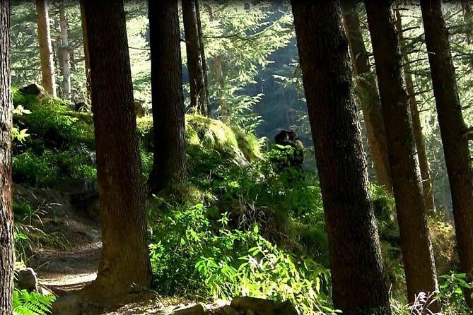 Himalayan Cottage Camping in Kasol (1n2d) - Introduction