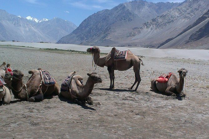 Himalayas Motorcycle Escapades - Introduction to the Himalayan Motorcycle Expedition
