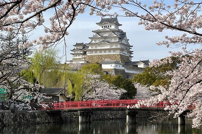 Himeji and Kobe Luxury Day Tour with Guide From Kyoto/Osaka - What to Expect from the Tour