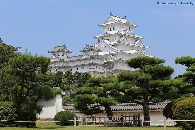 Himeji Castle and Akashi Kaikyo Bridge Walking Tour from Osaka - Key Points