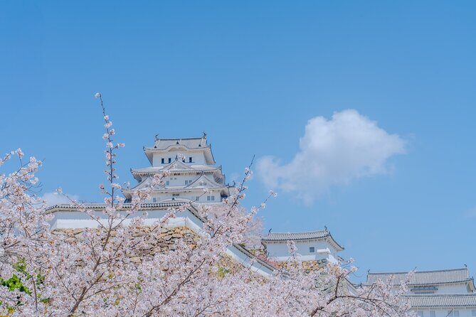 Himeji Castle Cherry Blossom Tour - Practical Details and What to Expect