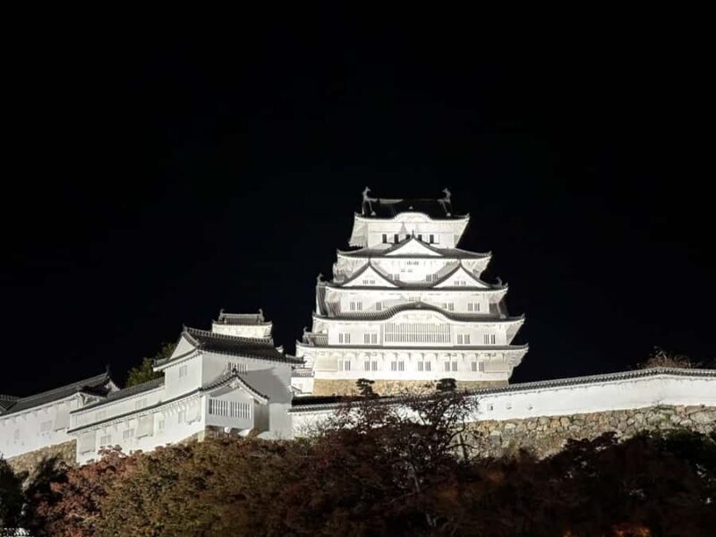 Himeji Castle: Guided Tour with Samurai History Expert - Who Is This Tour For?