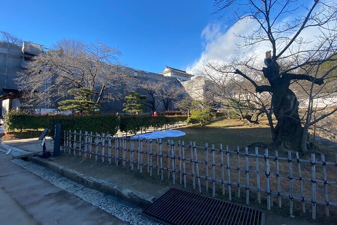 Himeji Castle Tour - The Sum Up: Who Should Consider This Tour?