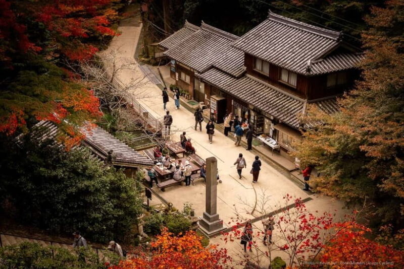 Himeji: Guided 4-hour Shoshazan Engyo-ji Photography Tour - The Sum Up