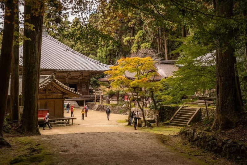 Himeji: Guided 4-hour Shoshazan Engyo-ji Photography Tour - FAQ