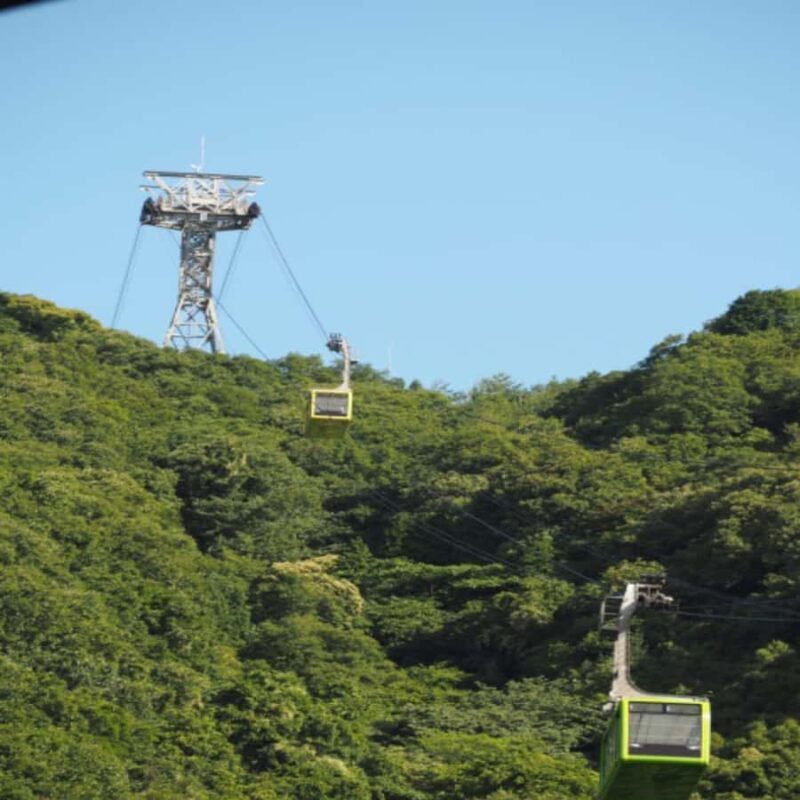 Himeji, Kobe & Mount Shosha Scenic Discovery Day Tour - The Practical Side: Value and Logistics