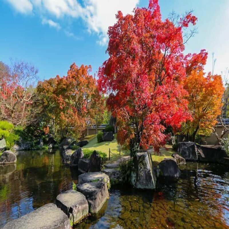 Himeji, Kobe & Mount Shosha Scenic Discovery Day Tour - FAQ