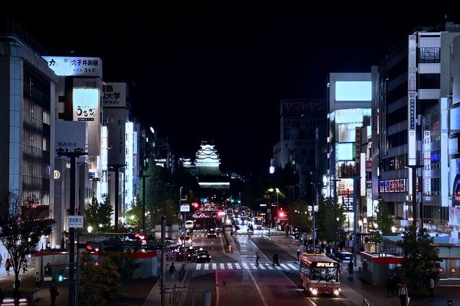 Himeji Private Customizable Half Day - How This Tour Fits Your Travel Style