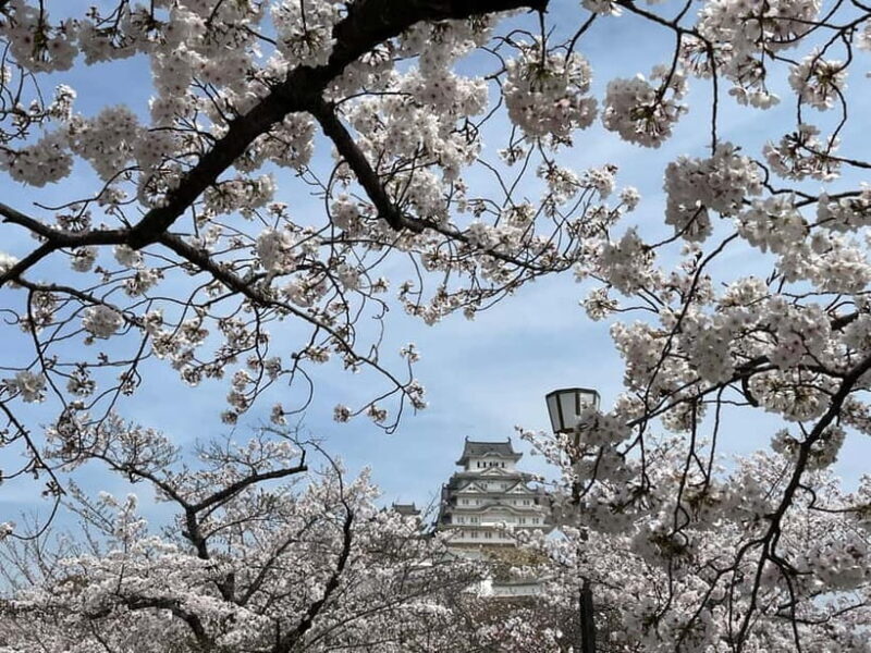 Himeji: visit the castle and Engyoji temple from Osaka - Visiting Mount Shosha and Engyoji Temple