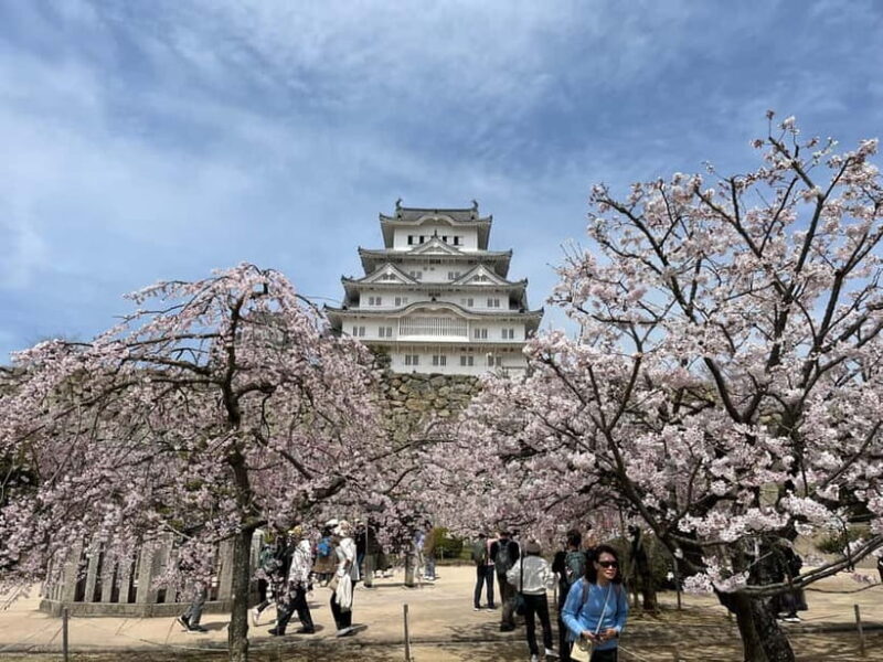 Himeji: visit the castle and Engyoji temple from Osaka - Practical Details and Value