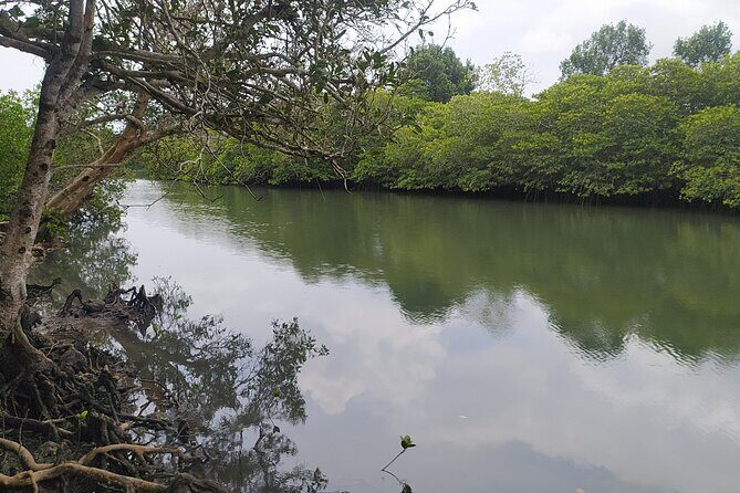 Hinterland Cycling Tour, Havelock - Value and Practicalities