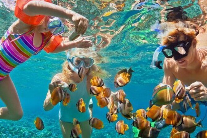 Hip hop party boat cruise & Snorkel: Wonderful time in Punta Cana - Who Will Love This Experience?