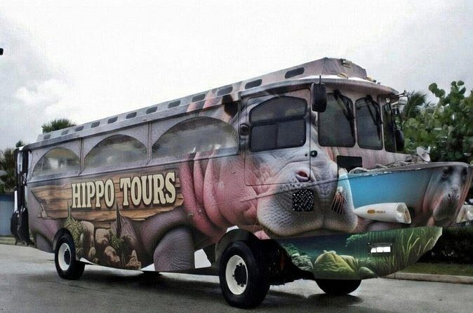 Hippo Splash Amphibious Tour in Cozumel - Itinerary Breakdown — What You Can Expect
