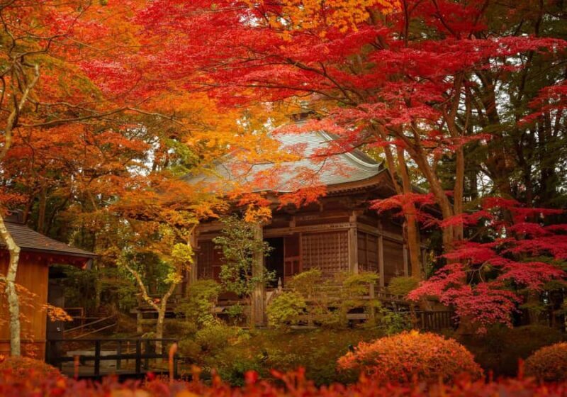 Hiraizumi: A World Heritage Journey Through the Pure Land - How the Experience Adds Value