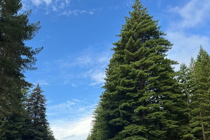 Hire A Driver For 4 Days From Auckland - Frequently Asked Questions