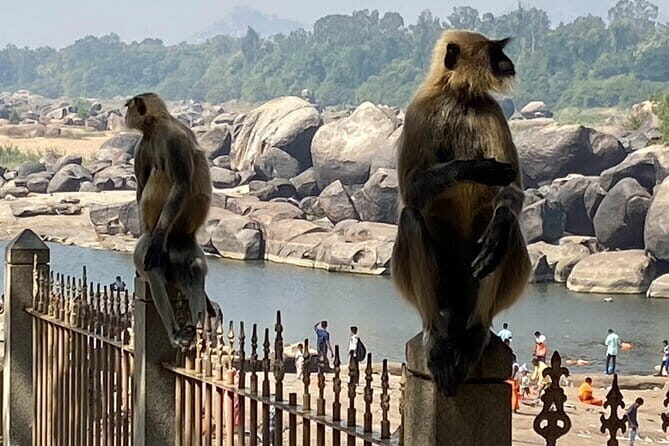 Hire a Licensed Guide for Fullday Hampi visit with own transport - Detailed Breakdown of the Itinerary