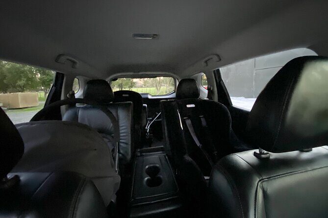Hire a Personal Local Driver per Day, Explore Auckland in Comfort - Who Should Consider This Tour?
