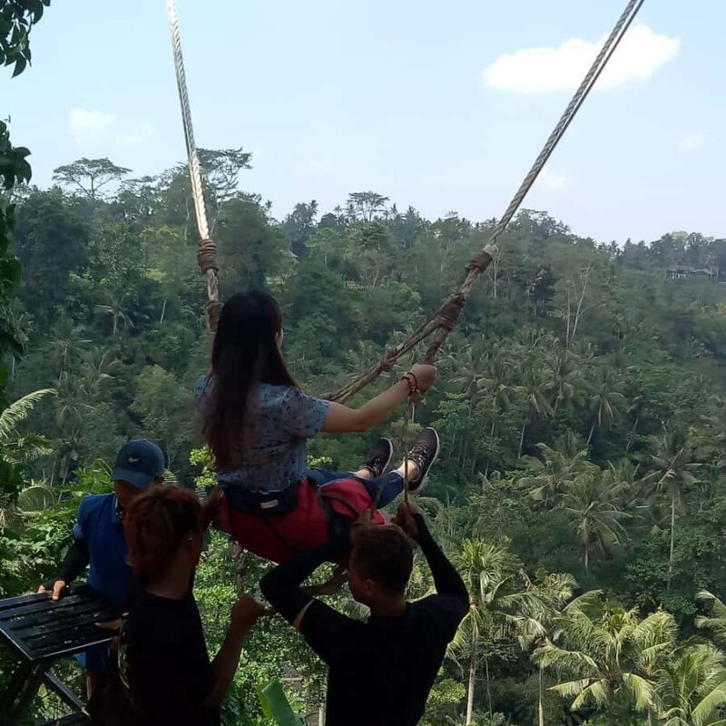 Hire Bali Driver As Your Guide - What Sets This Tour Apart