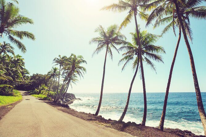 Hire Photographer. Professional Photo Shoot - Island Of Hawaii - Introduction