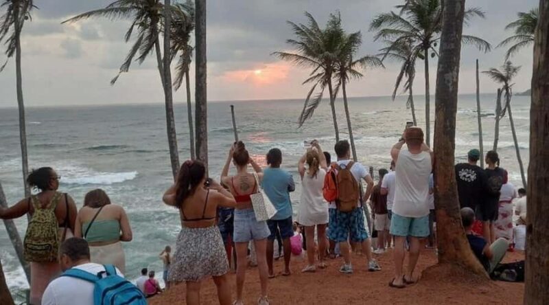 Hiriketiya: Mirissa Beach & Whale Watching Day Trip - Key Points