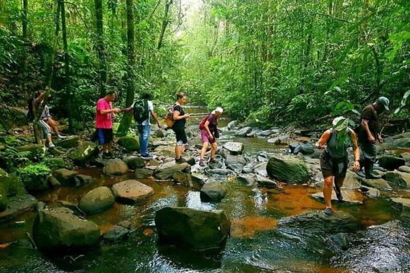 Hiriketiya: Sinharaja Rainforest Guided Day Trip - A Detailed Look at the Sinharaja Rainforest Day Trip